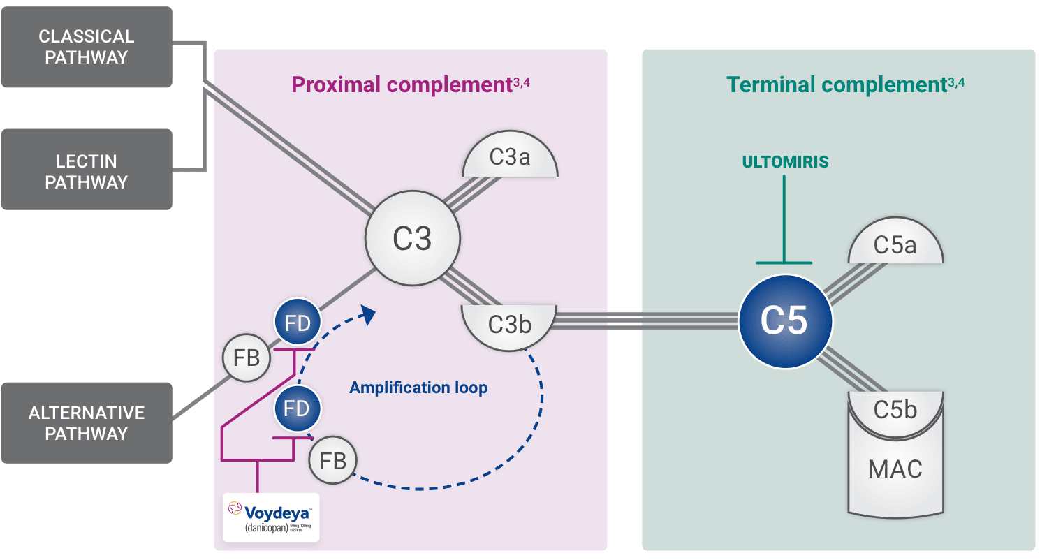 VOYDEYA™ (danicopan) Control IVH & EVH | Dual Inhibition of Complement